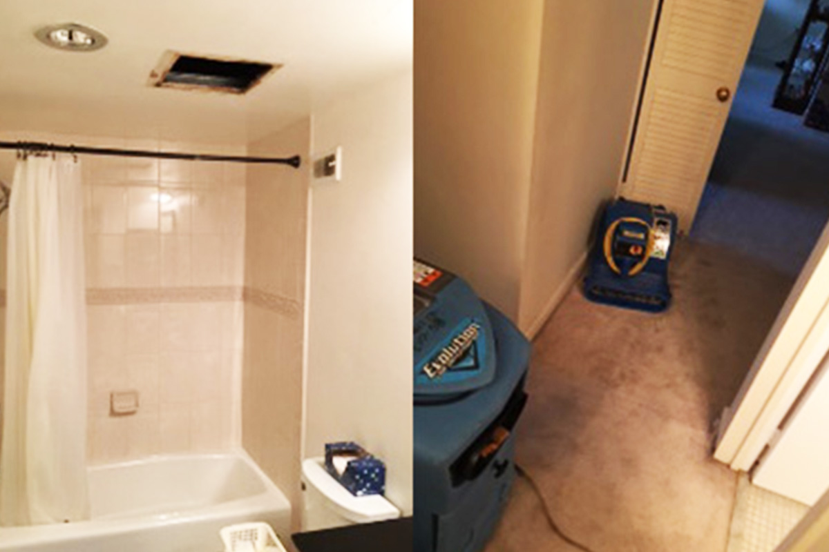 Know The Facts Before You Renovate A Building | Dynamic Drain Technologies